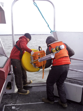 Seiche | PAM Equipment Supplier | Marine Mammal Sound Mitigation
