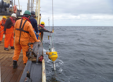 Seiche Marine Mitigation Technology | Real Time Wireless W-PAM System