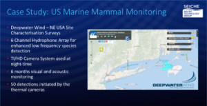 Case Studies - Seiche